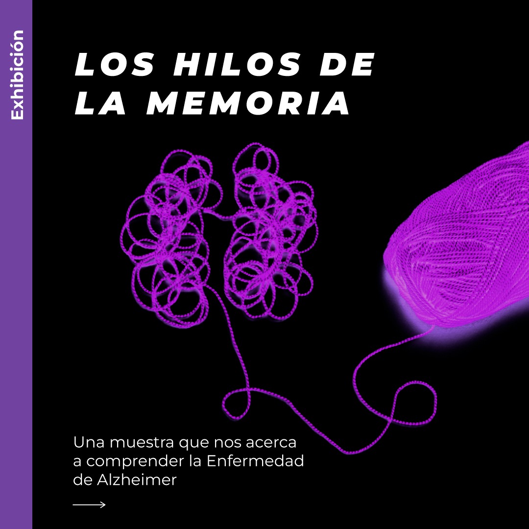 "Los hilos de la Memoria" - Fundación INECO