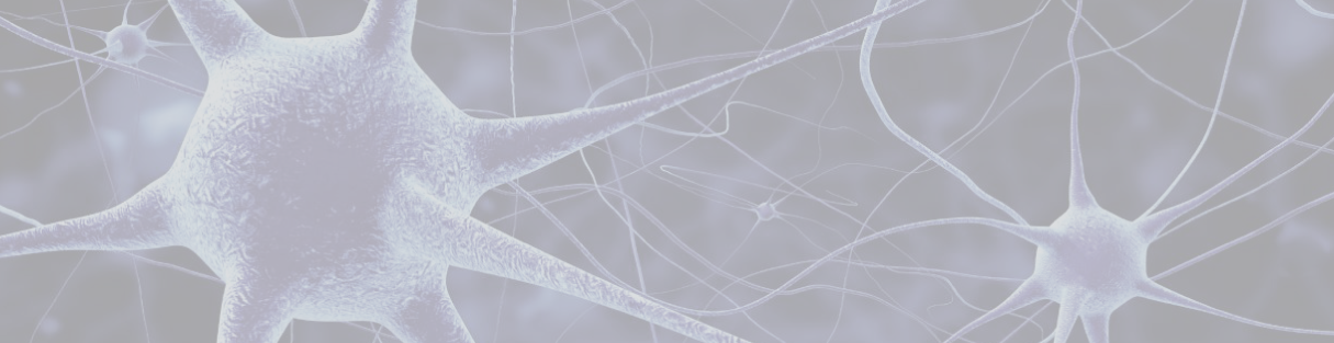 Neuroplasticity, Stimulation and Motor Control Laboratory - Fundación INECO